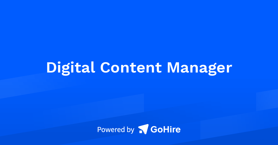 Digital Content Manager at Black Wolf Agency | Jobs at Black Wolf Agency