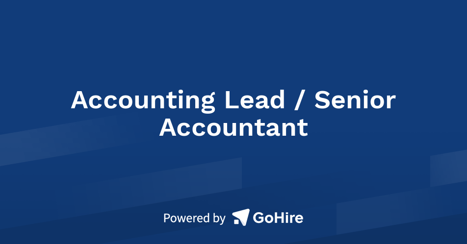 Accounting Lead / Senior Accountant at Digital Zone | Jobs at Digital Zone