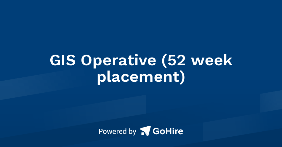 Gis Operative 52 Week Placement At Plotbox Jobs At Plotbox
